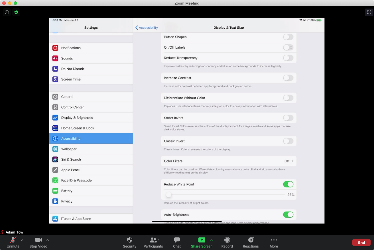 Fix iPad Washed Out HDMI Output with Reduced White Point Accessibility ...