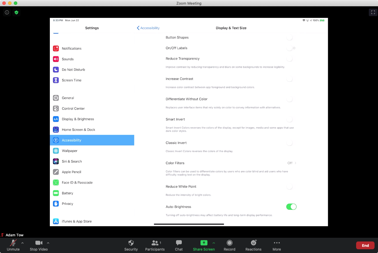 Fix iPad Washed Out HDMI Output with Reduced White Point Accessibility ...
